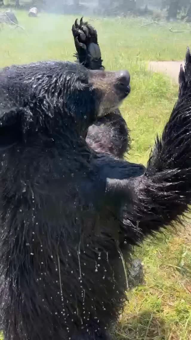 Sunshine And Sprinklers Inspire Action! Join Us! - Zoos - USA - Texas ...