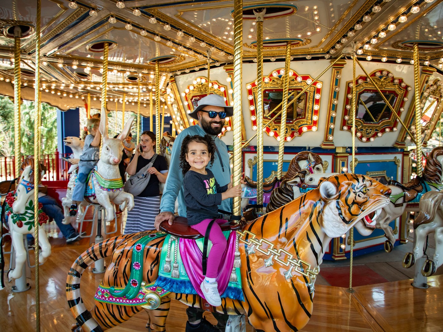 Rides Reopen This Friday: Experience The Excitement Again! - Zoos - USA ...