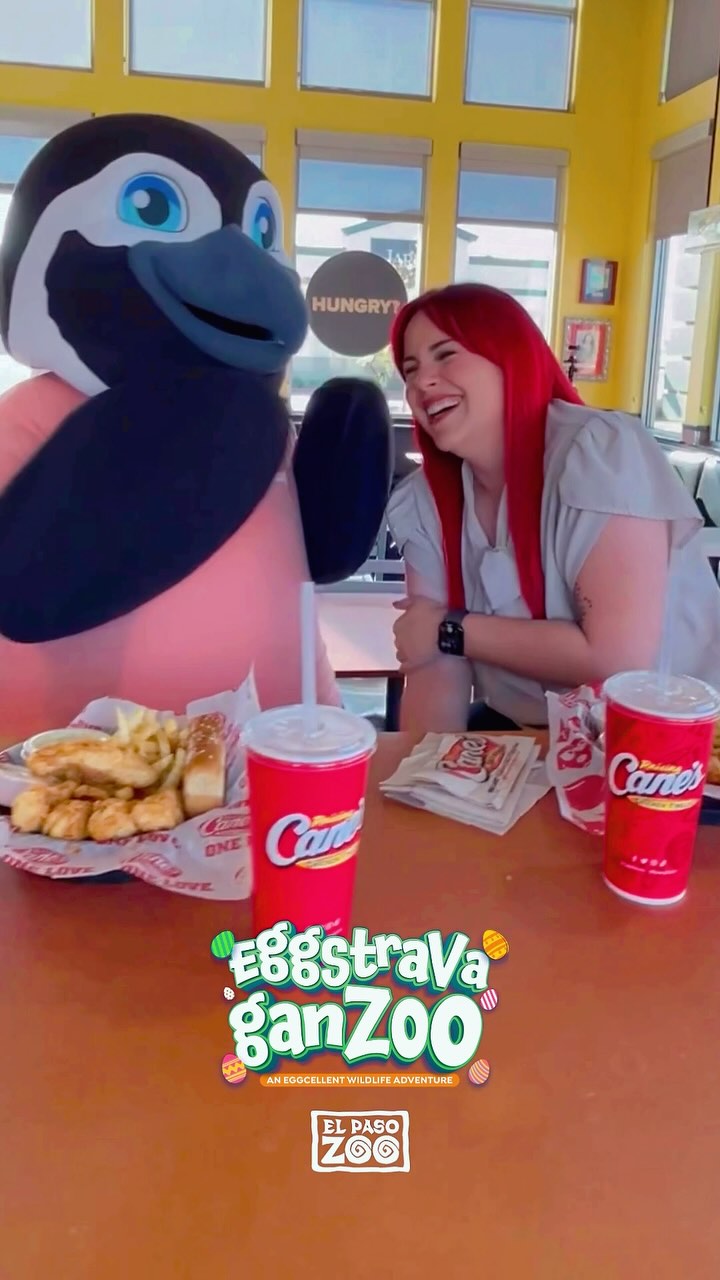 El Paso Zoo & Raising Cane's Team Up For This Event - El Paso Zoo Zoo Guide