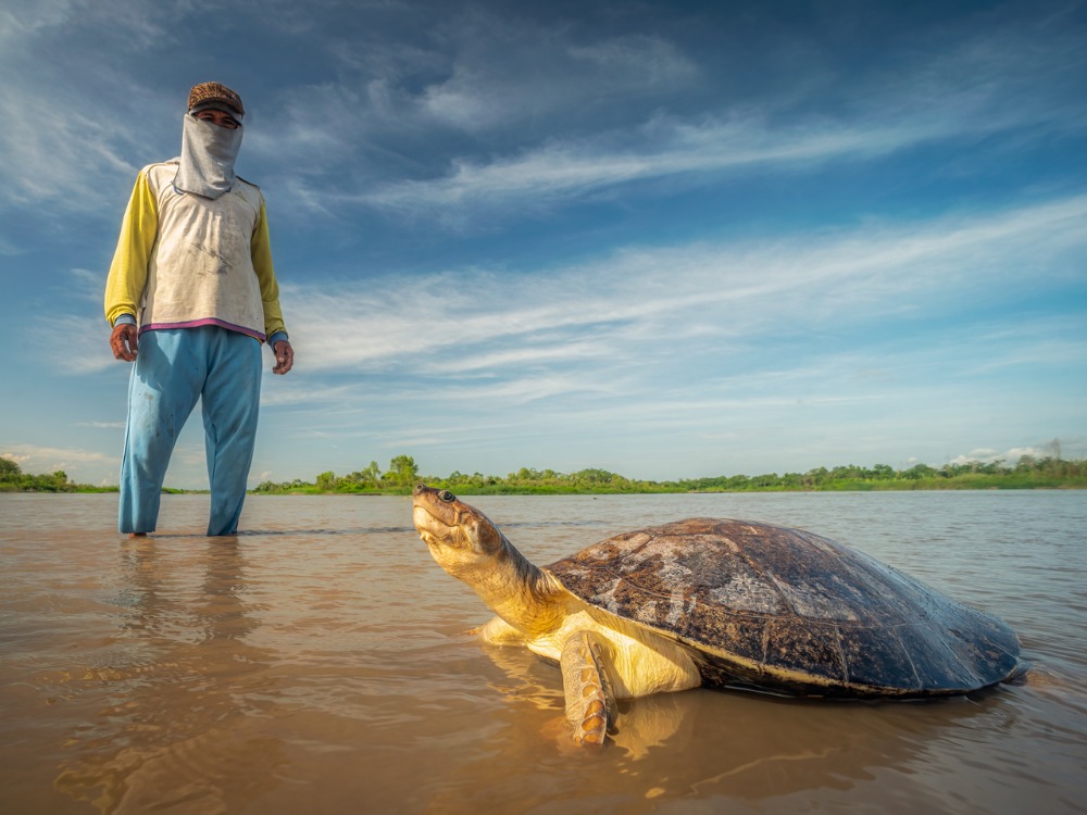 Turtles: Central To Our Mission And Purpose - Turtle Survival Center ...