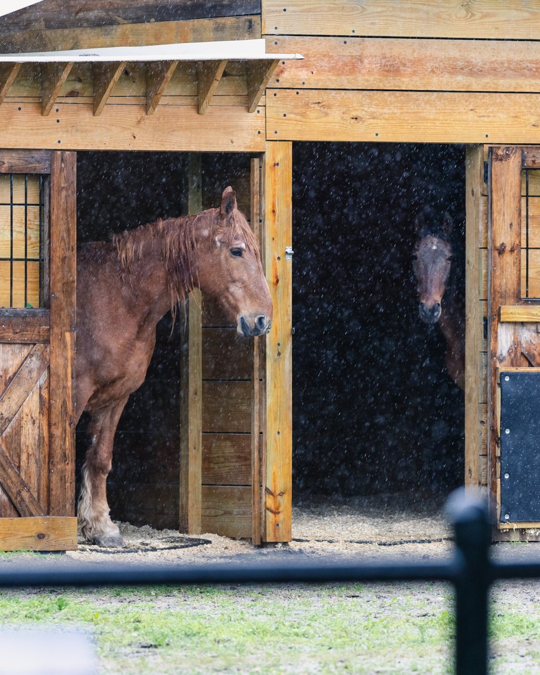 Weekend Rain: Why It Seems To Only Rain On Saturdays! - Buttonwood Park ...