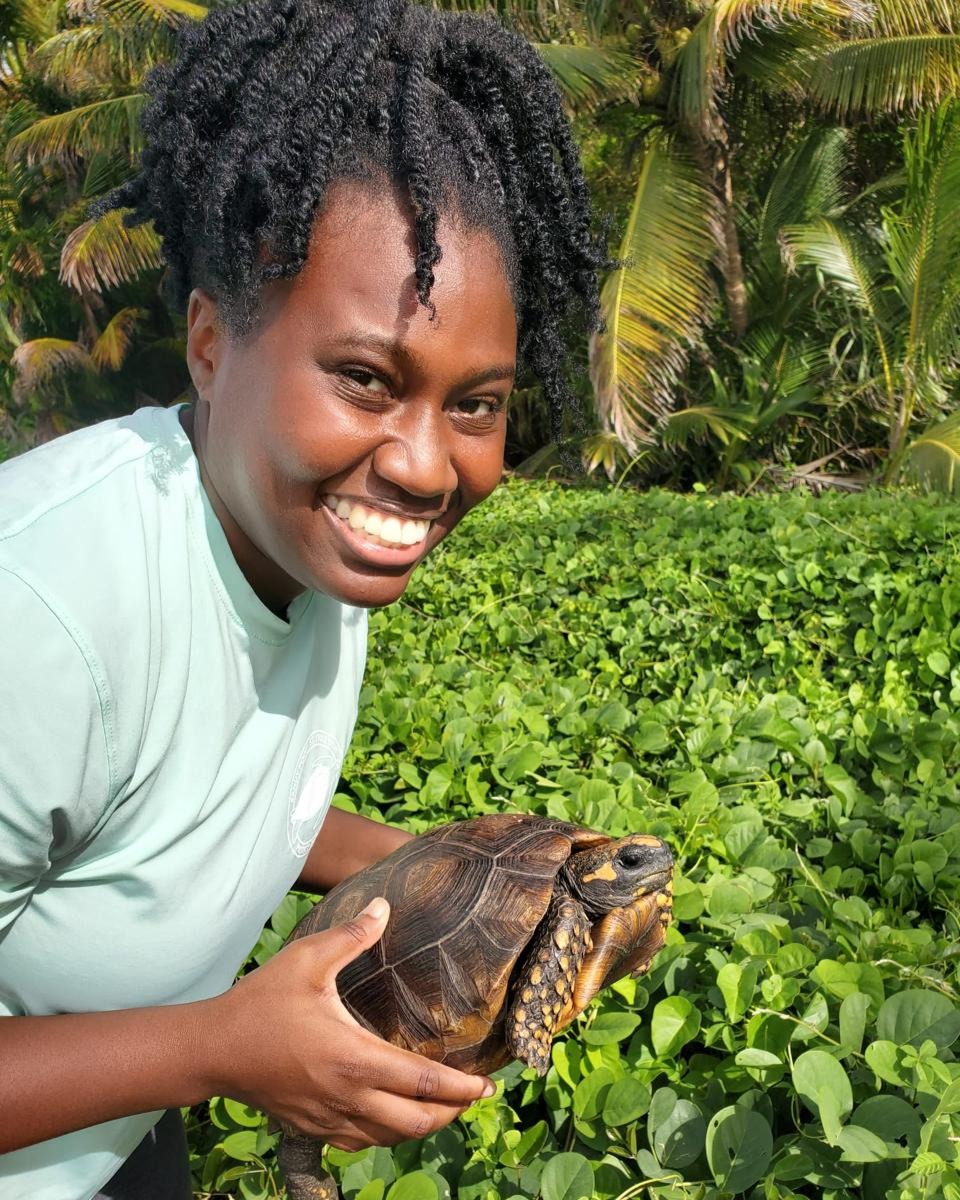 Peter Pritchard: Celebrated Turtle And Tortoise Expert (1943-2020 ...