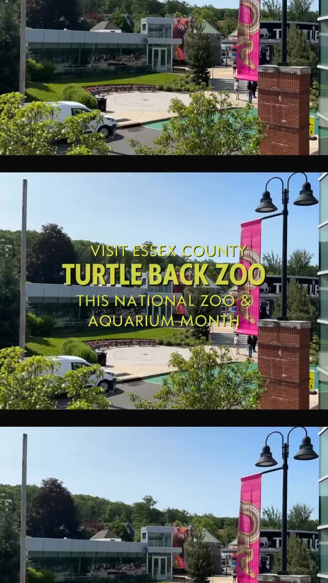 Celebrate National Zoo & Aquarium Month This June - Turtle Back Zoo Zoo ...