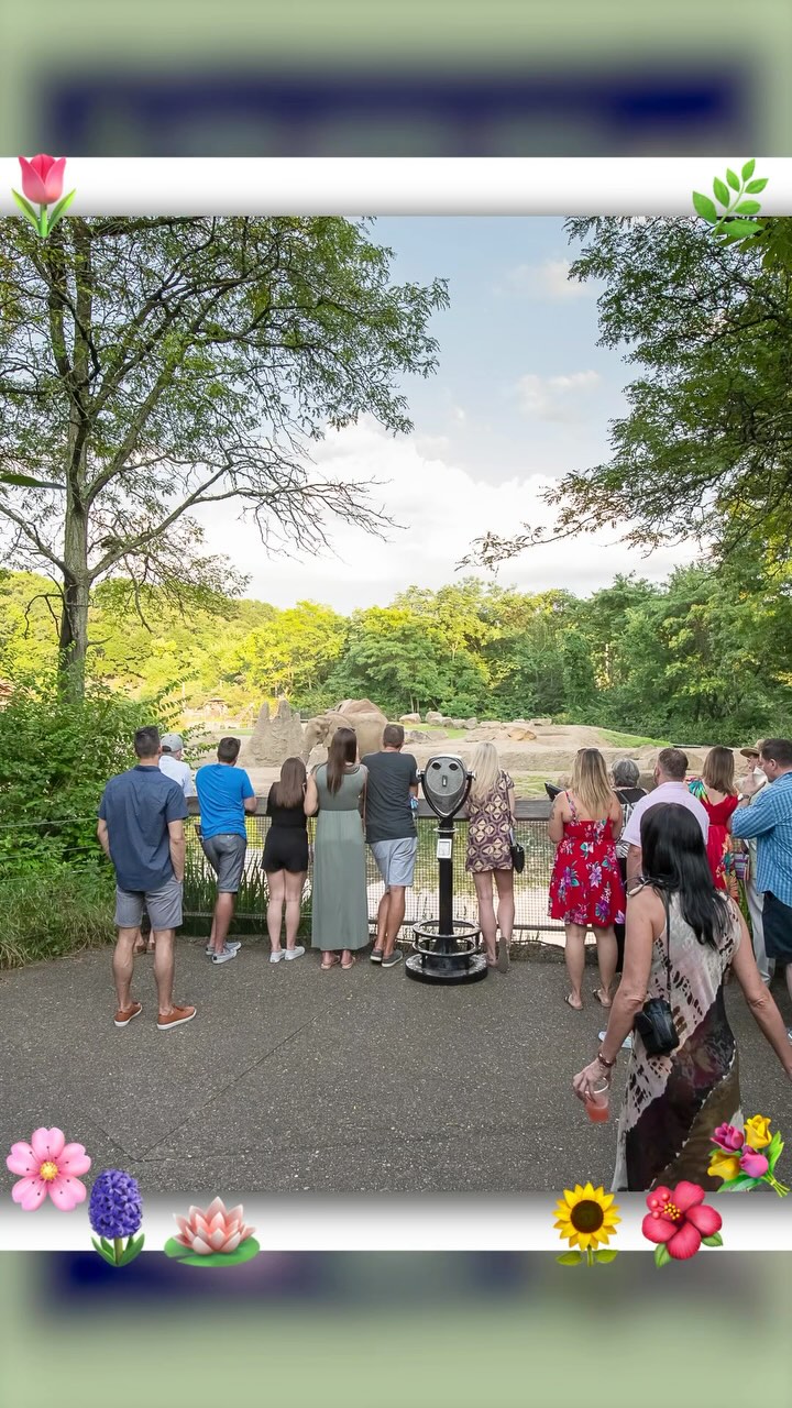 Summer Safari: Zoo's Premier Fundraiser And Evening Celebration ...