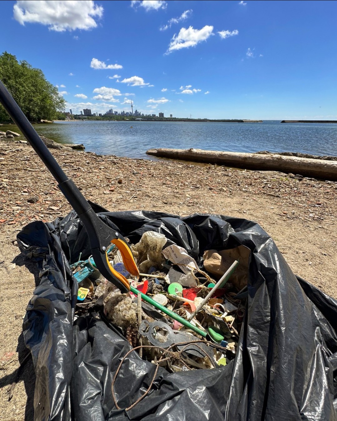Join Our Shoreline Cleanup For World Ocean Day At Lake Ontario - Ripley ...