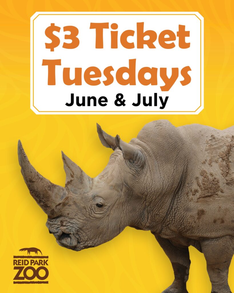 Zoo Offers Tuesday Admission In June And July - Zoos - USA - Arizona ...