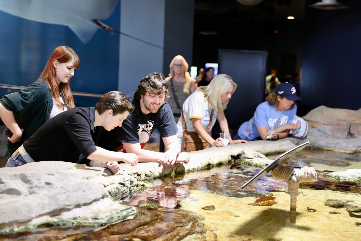 Join Fish & Sips Happy Hour At OdySea Aquarium! - OdySea Aquarium Zoo Guide