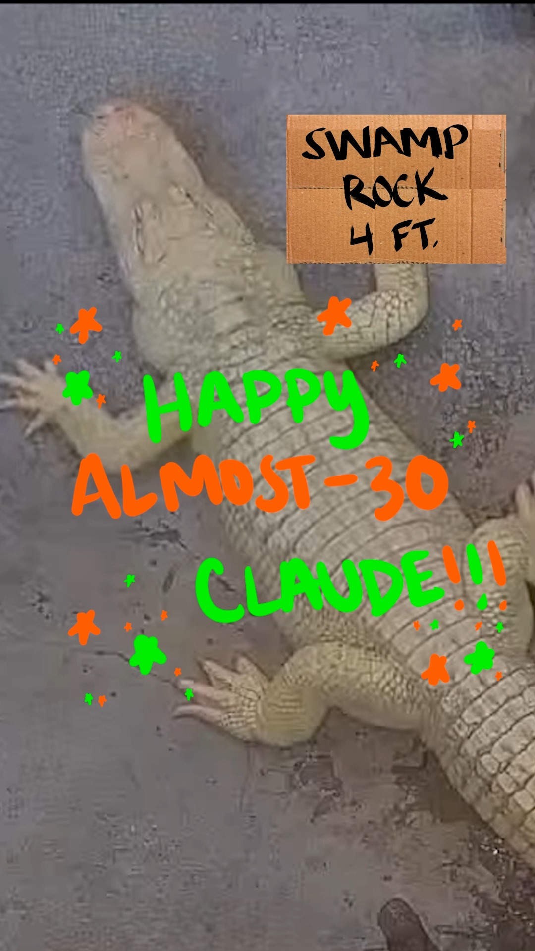 Celebrate National Alligator Day With Episode 3 Of Claude’s Series ...