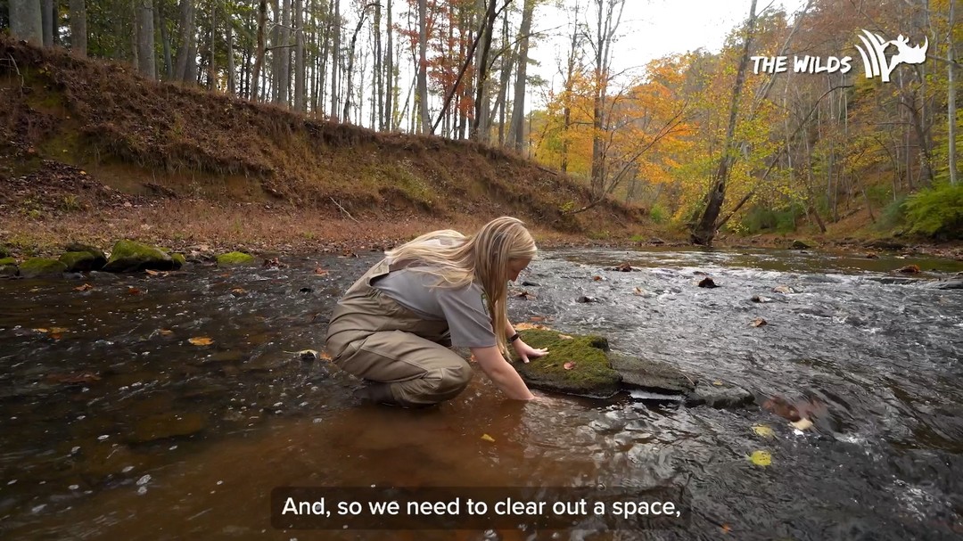 The Essential, Elusive, And Slimy Creatures Of Ohio's Waterways - The ...