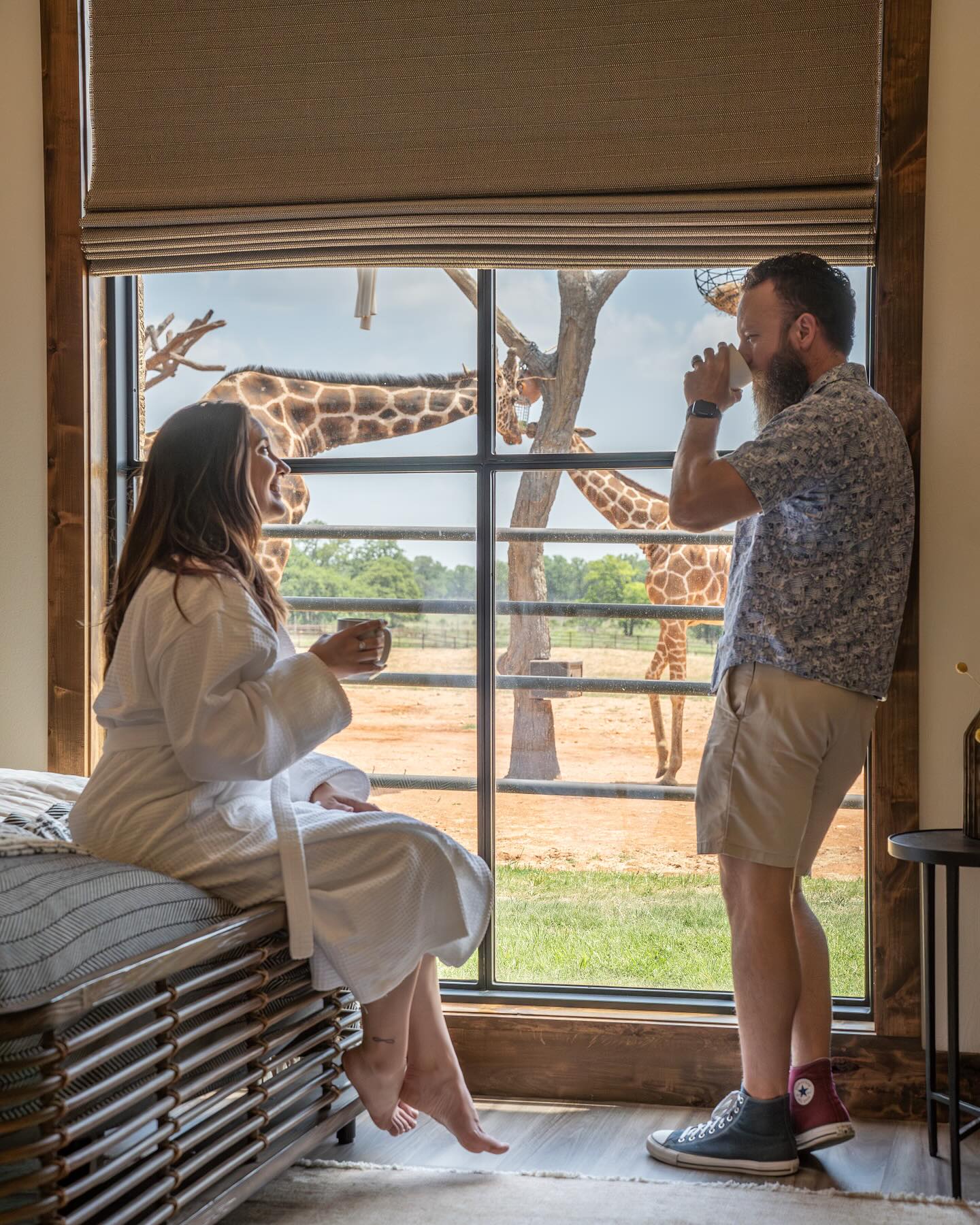 Experience Luxury Wildlife Awaits You In Fredericksburg, TX - Longneck ...