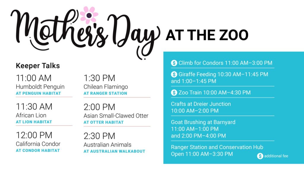Celebrate Mother's Day: Explore The Zoo All Day! - Zoos - USA ...