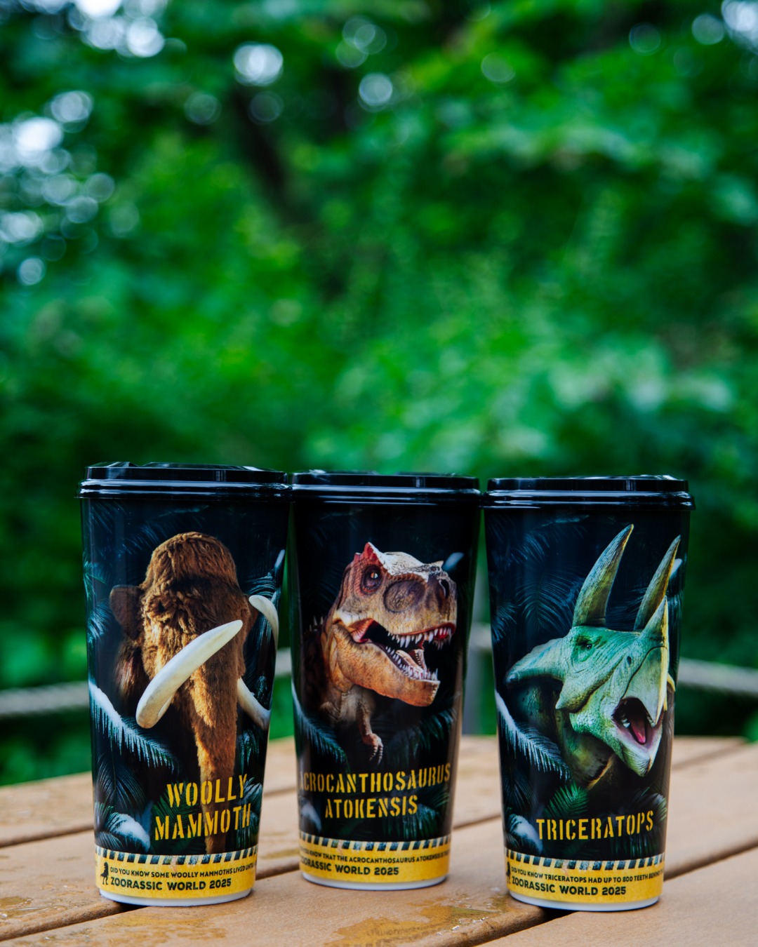 Celebrate National Dinosaur Day: Discover Our Fun New Zoo Exhibit ...