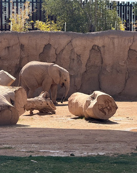 Get Ready For The Weekend With These Amazing Photos - Zoos - USA ...