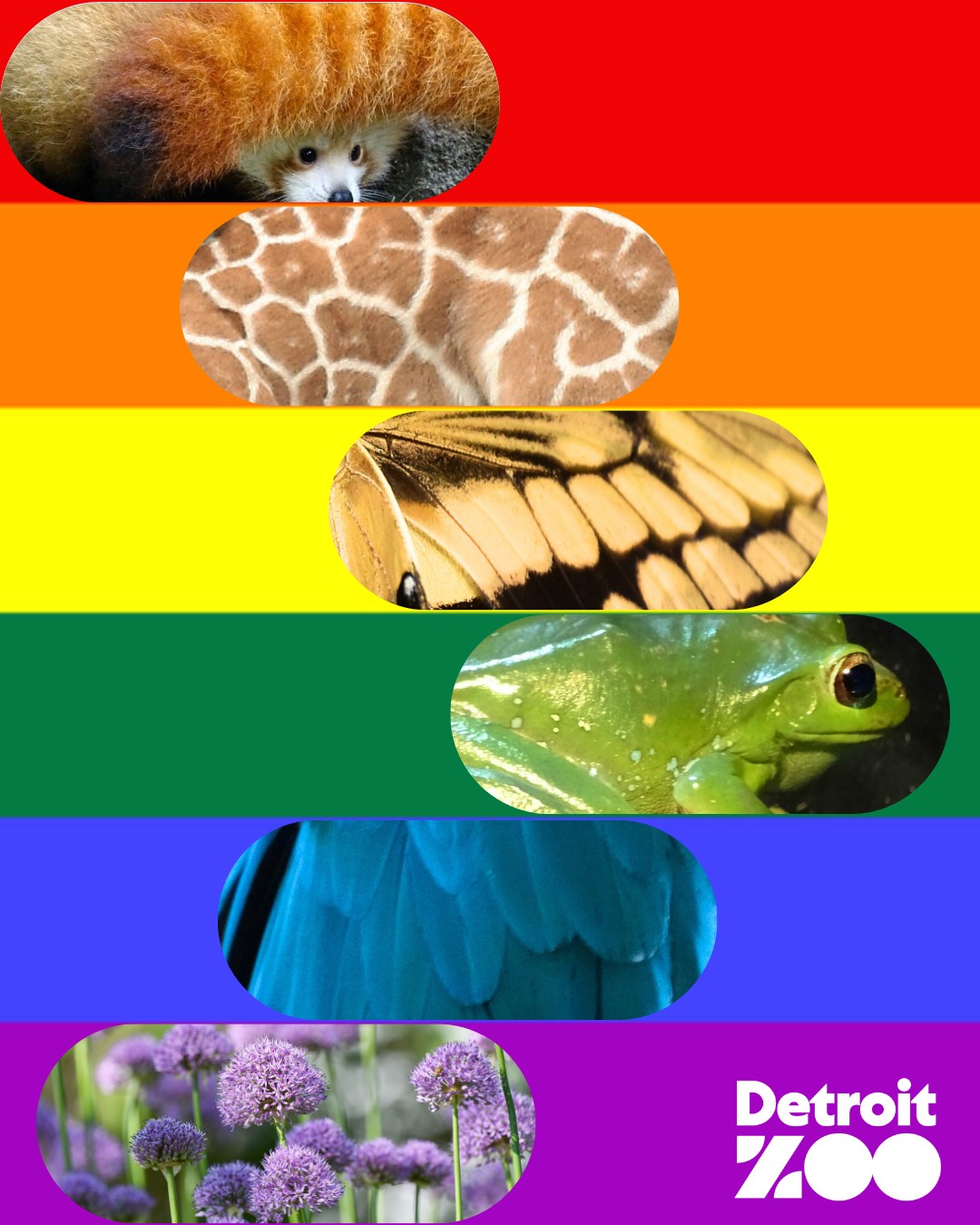 Pride Roars At The Detroit Zoo: Igniting Positive Change! - Detroit Zoo ...