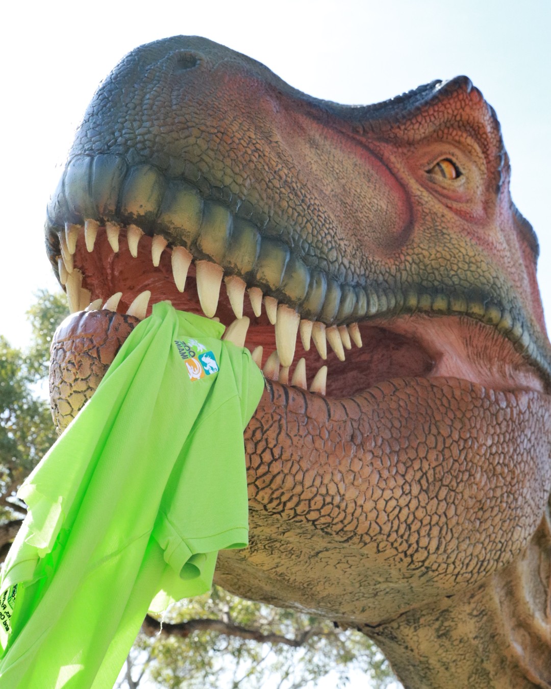 Pick Your Favorite Dino: T-Rex Or Another Prehistoric Giant? - Zoo ...