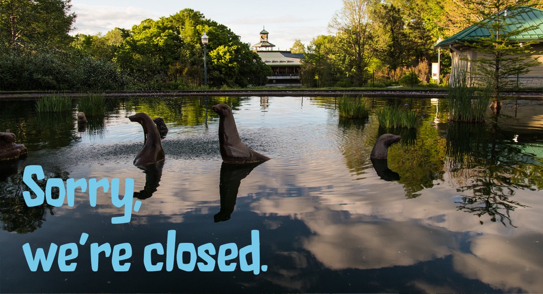 Saint Louis Zoo: Safety Guidelines For Guests And Staff - Saint Louis ...