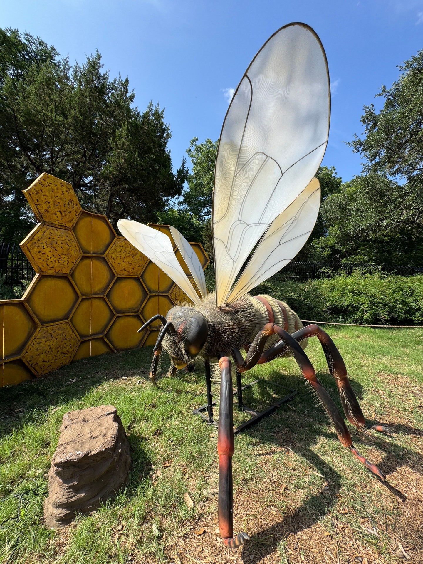 Giant Bugs Invade San Antonio Zoo This Summer! - Zoos - USA - Texas ...
