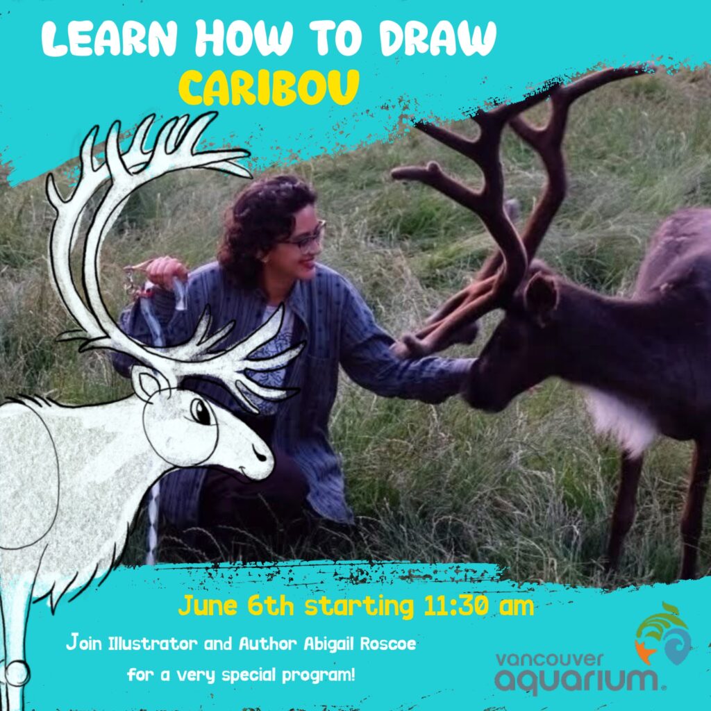 Join Us For World Caribou Day On Friday, June 6! - Vancouver Aquarium ...