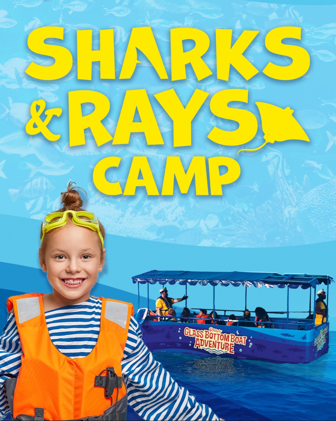 Dive Into FIN-tastic Adventures At Sharks & Rays Camp! - Ripley's ...