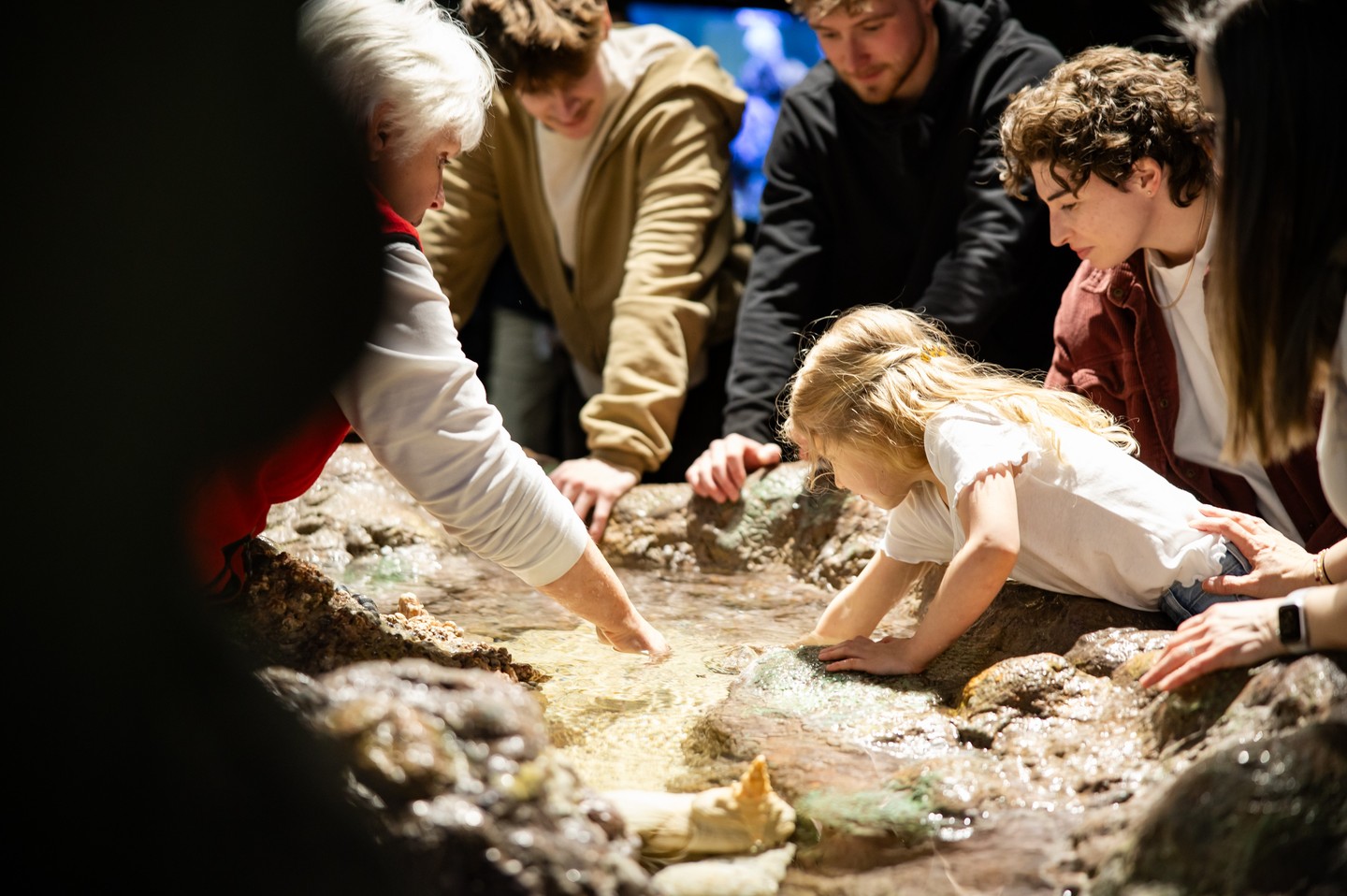 June Is National Zoo And Aquarium Month: Inspiring Young Minds - Zoos ...