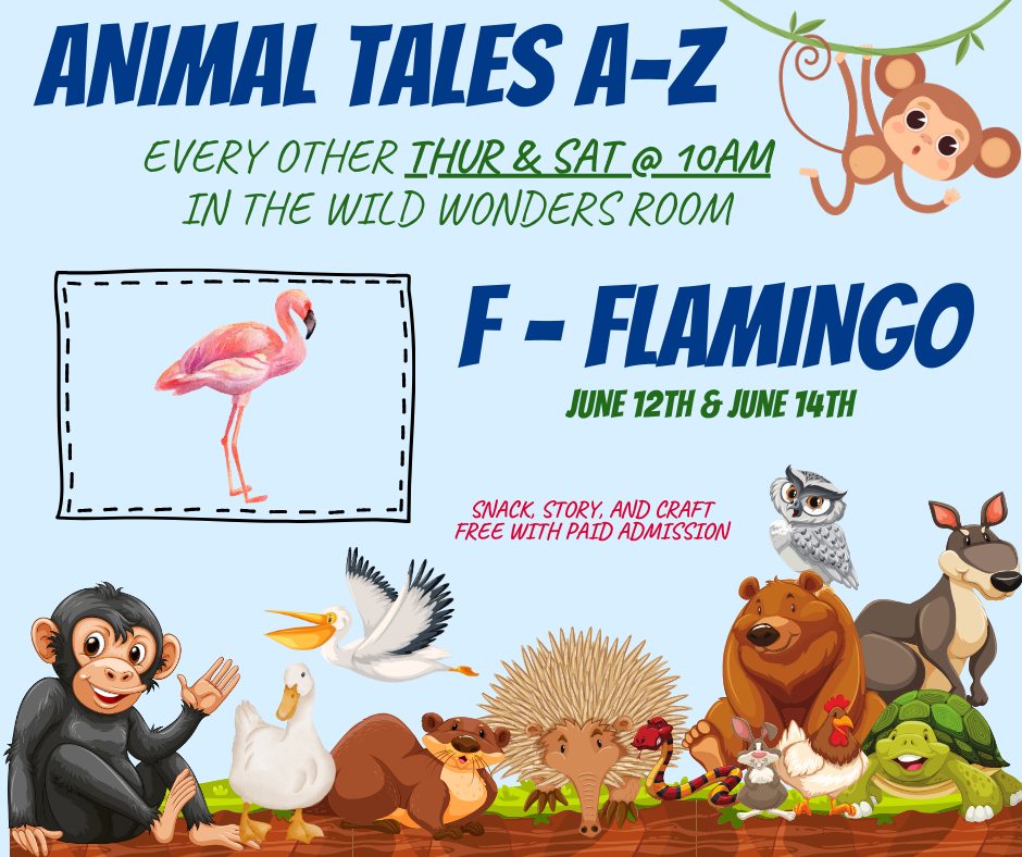 Animal Tales A-Z: Discover The Fascinating Letter F! - Sunset Zoo Zoo Guide