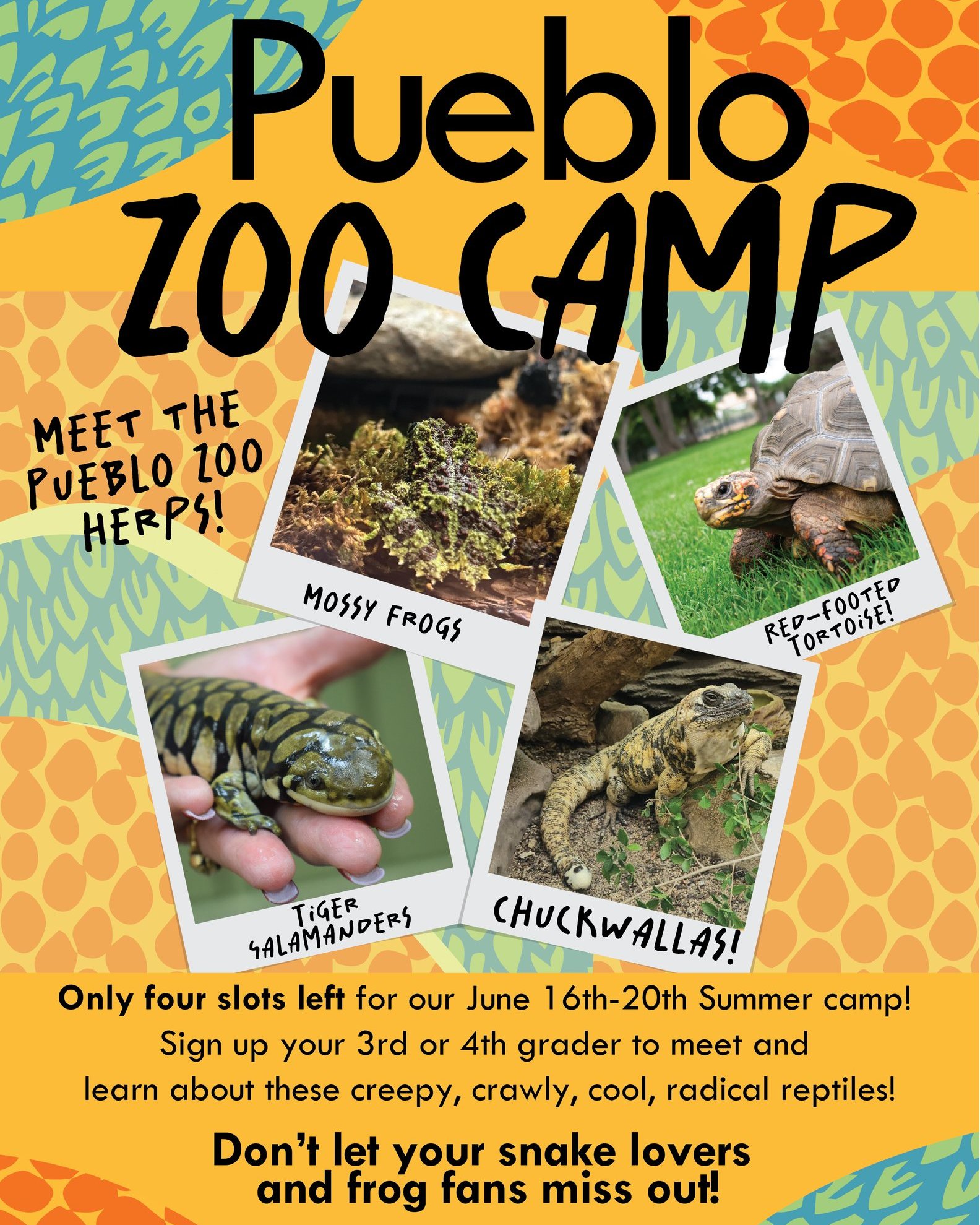 Only 4 Slots Left For Next Week's Summer Camp! - Zoos - USA - Colorado ...