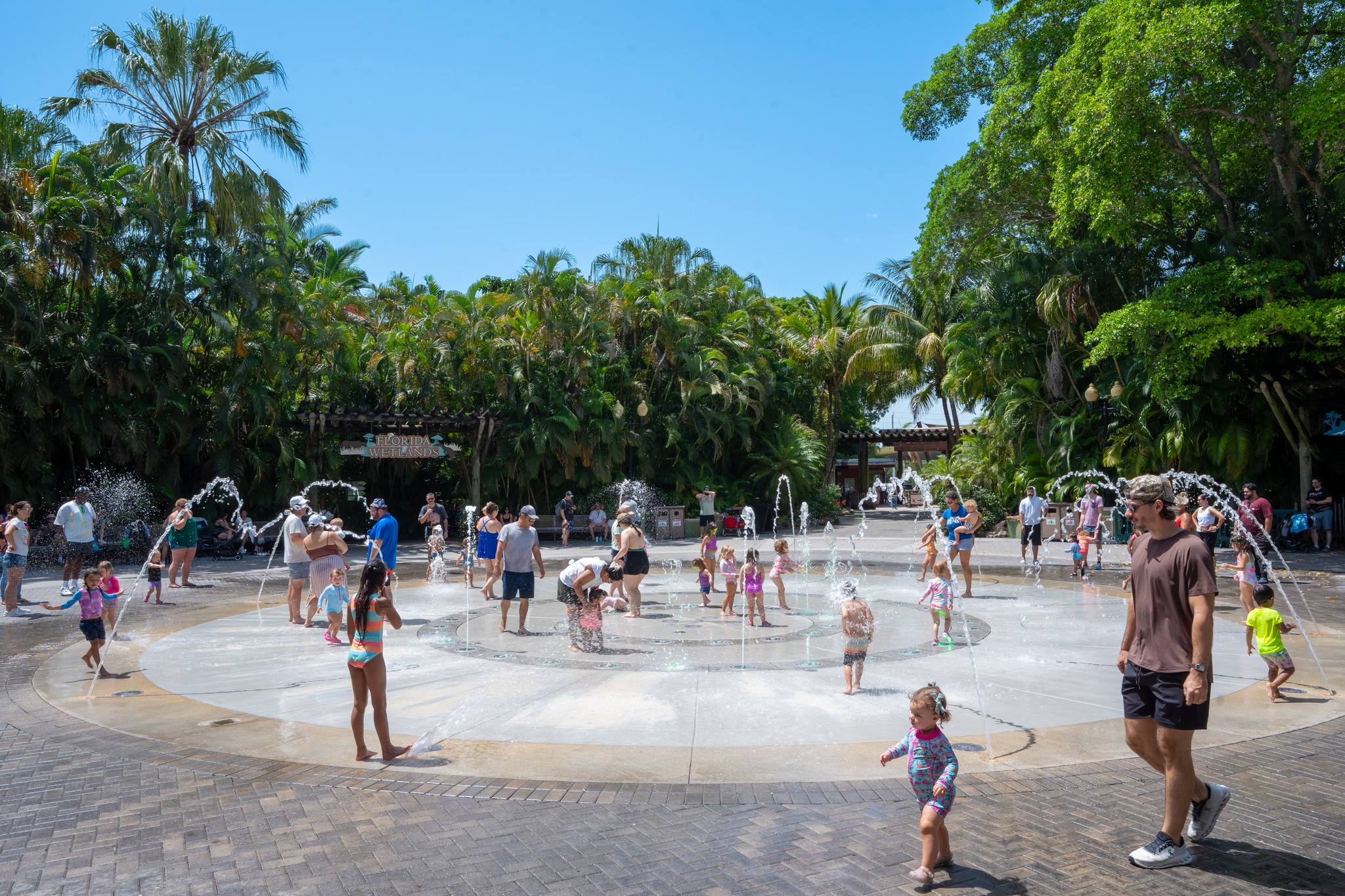The Splash Pad Is Now Open For Fun And Enjoyment! - Palm Beach Zoo Zoo ...