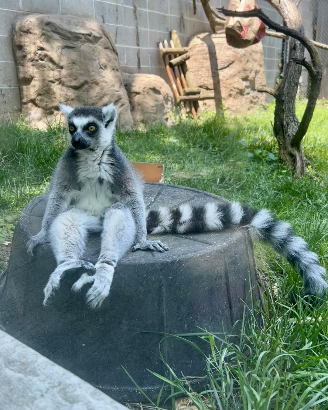 Exploring Life's Meaning Vs. Snacks: A Reflective Journey - Zoos - USA ...