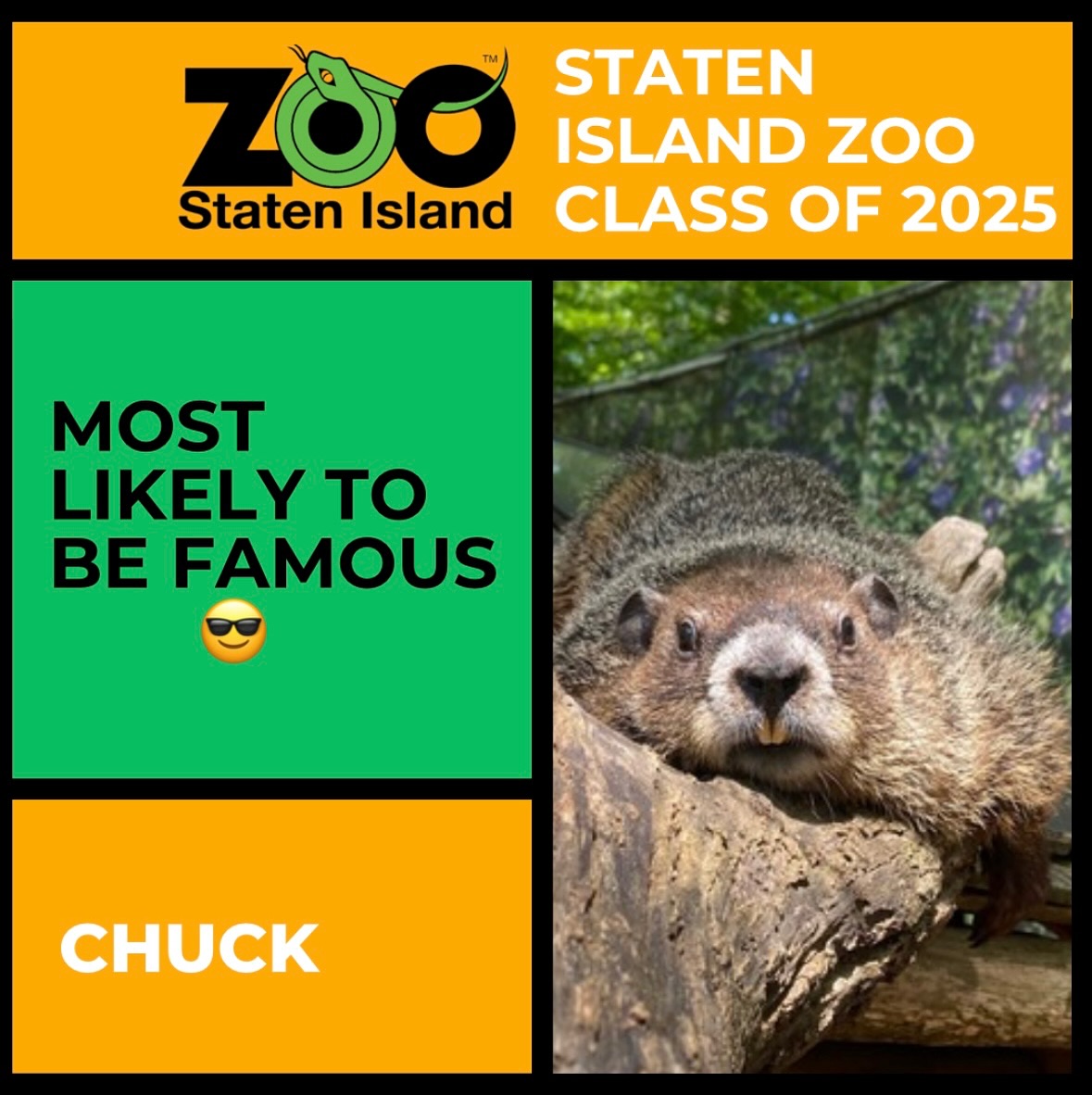 Prom Crowns Won: Celebrations Continue With More Excitement! - Staten ...