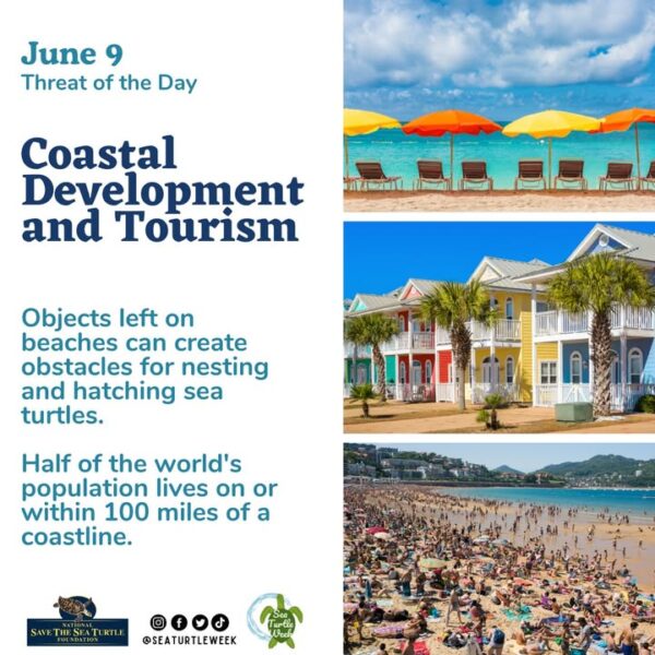 Coastal Development Threatens Sea Turtle Survival - North Carolina ...