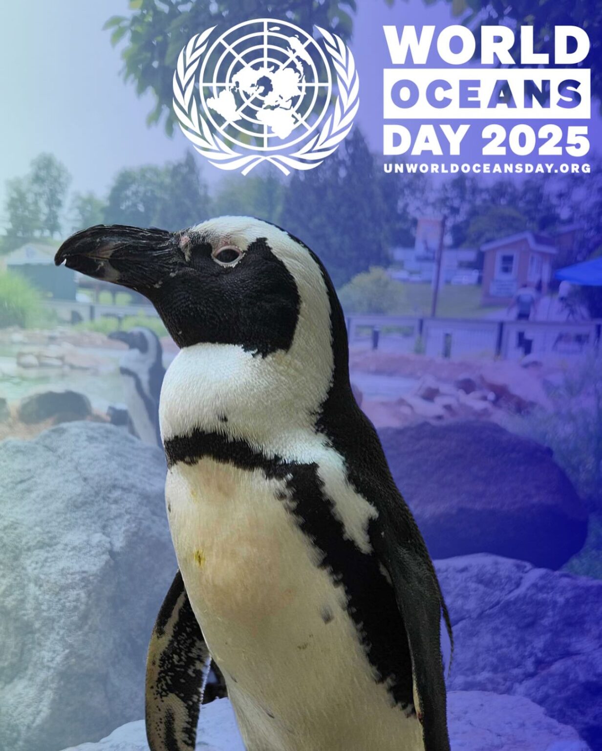 Explore World Oceans Day: Mapping Our Oceans' Secrets - Lehigh Valley ...