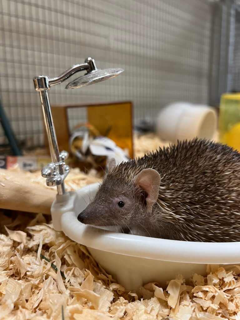 Meet Cincinnati Zoo’s Social Media Stars! - Zoos - USA - Ohio ...