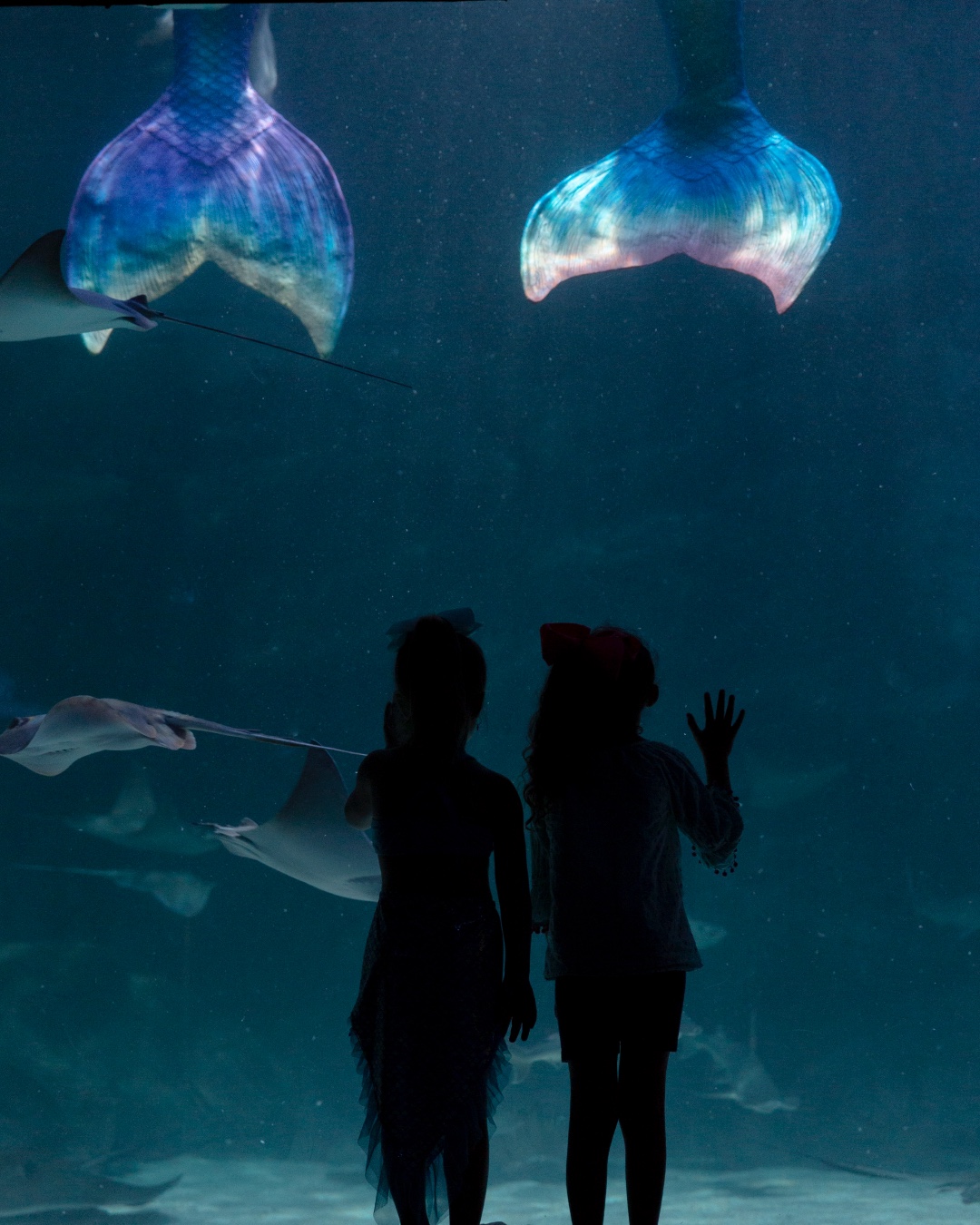 Embark On A Magical Undersea Adventure At Mermaid & Pirate Camp ...