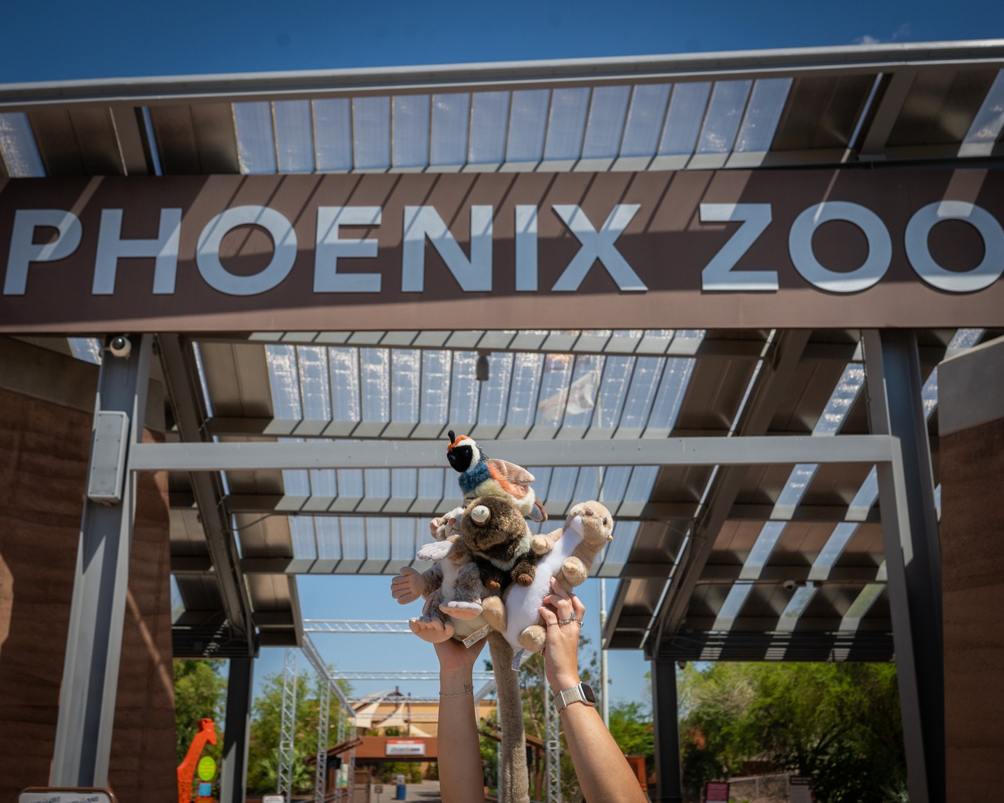Does Your Furry Friend Have A Case Of The Sniffles? - Zoos - USA - Arizona - Phoenix Zoo Zoo Guide