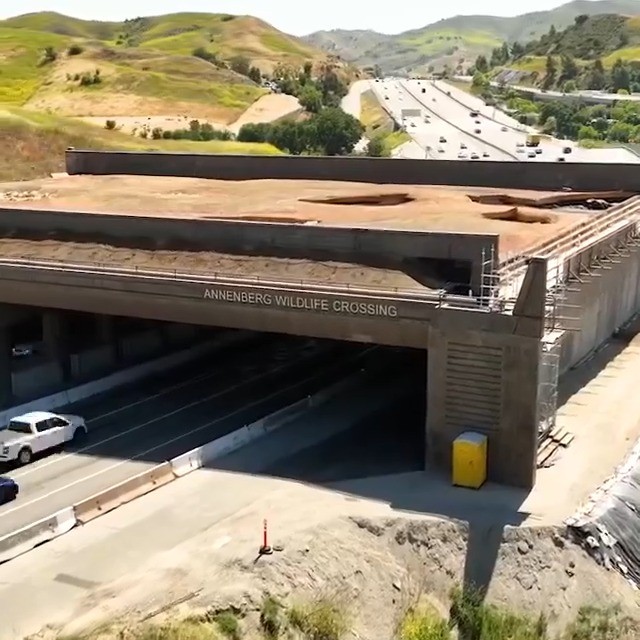 Final Construction Begins On Wallis Annenberg Wildlife Crossing ...