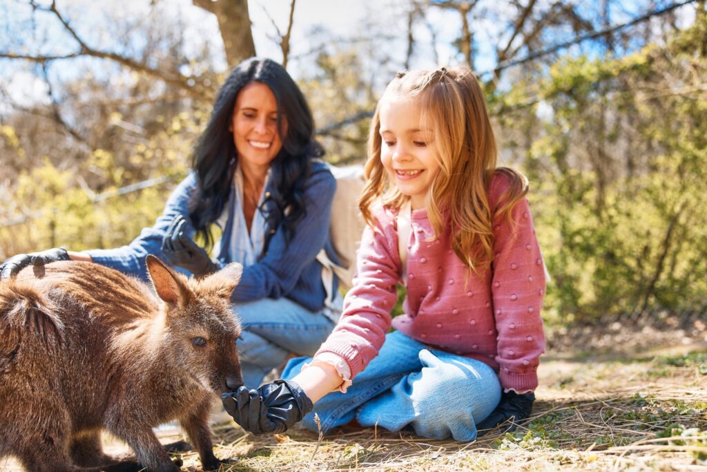 Discover Our Engaging Animal Encounters Today! - Oglebay's Good Zoo Zoo ...