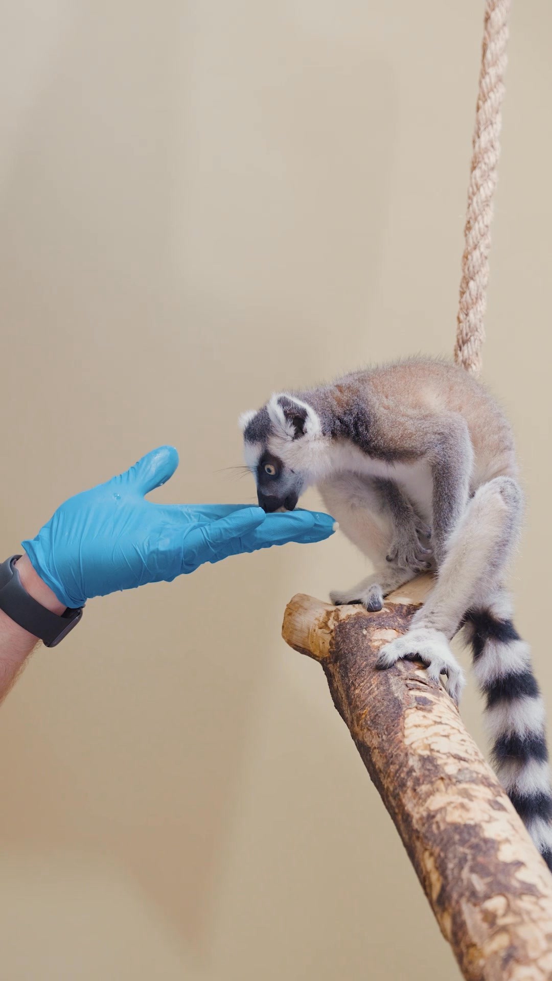 Keeper Cole: The True Work Behind Being A Zookeeper - Zoos - USA - Ohio ...