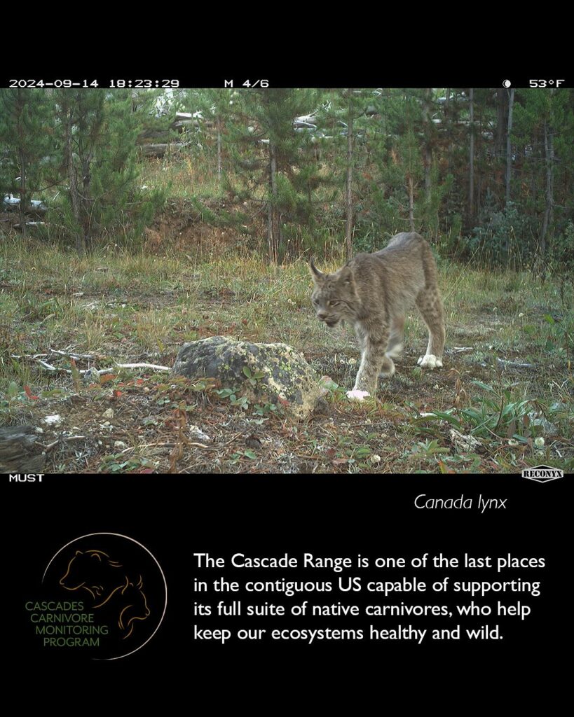 Definitive Guide To Woodland Park Zoo Facts, List Of Animals, Reviews And Pictures On Zoo-guide.com