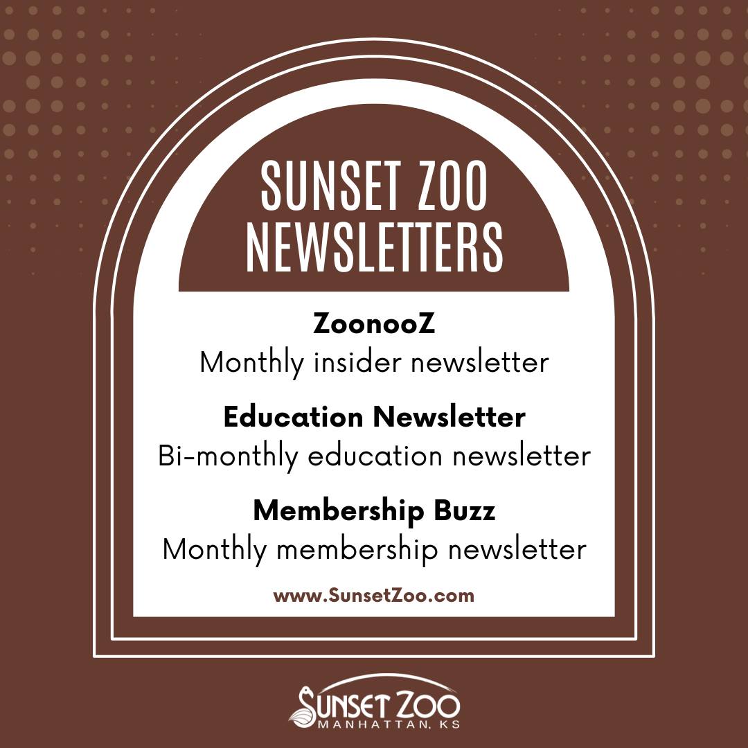 Stay Updated With Sunset Zoo: Subscribe To Our Newsletters! - Sunset ...