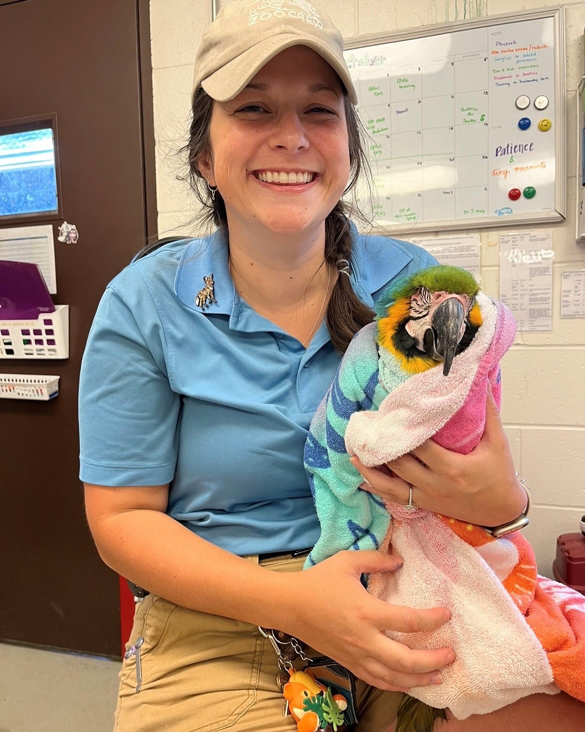 Celebrating World Veterinary Day: Honoring Our Incredible Heroes ...