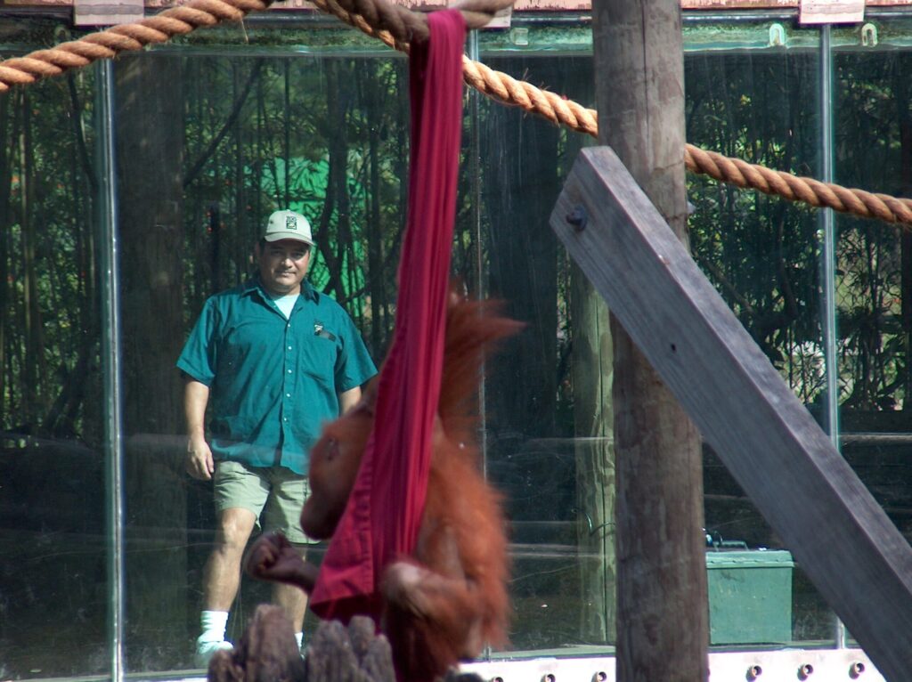 Honoring 40 Years: Primates Keeper Ron's Journey - Zoos - USA - Texas ...