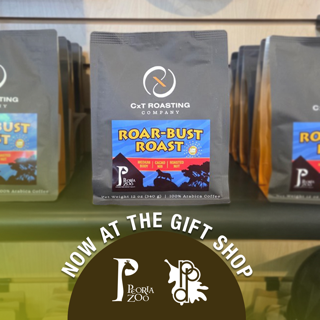 Ignite Your Adventure With Our Roar-Bust Roast! - Peoria Zoo Zoo Guide
