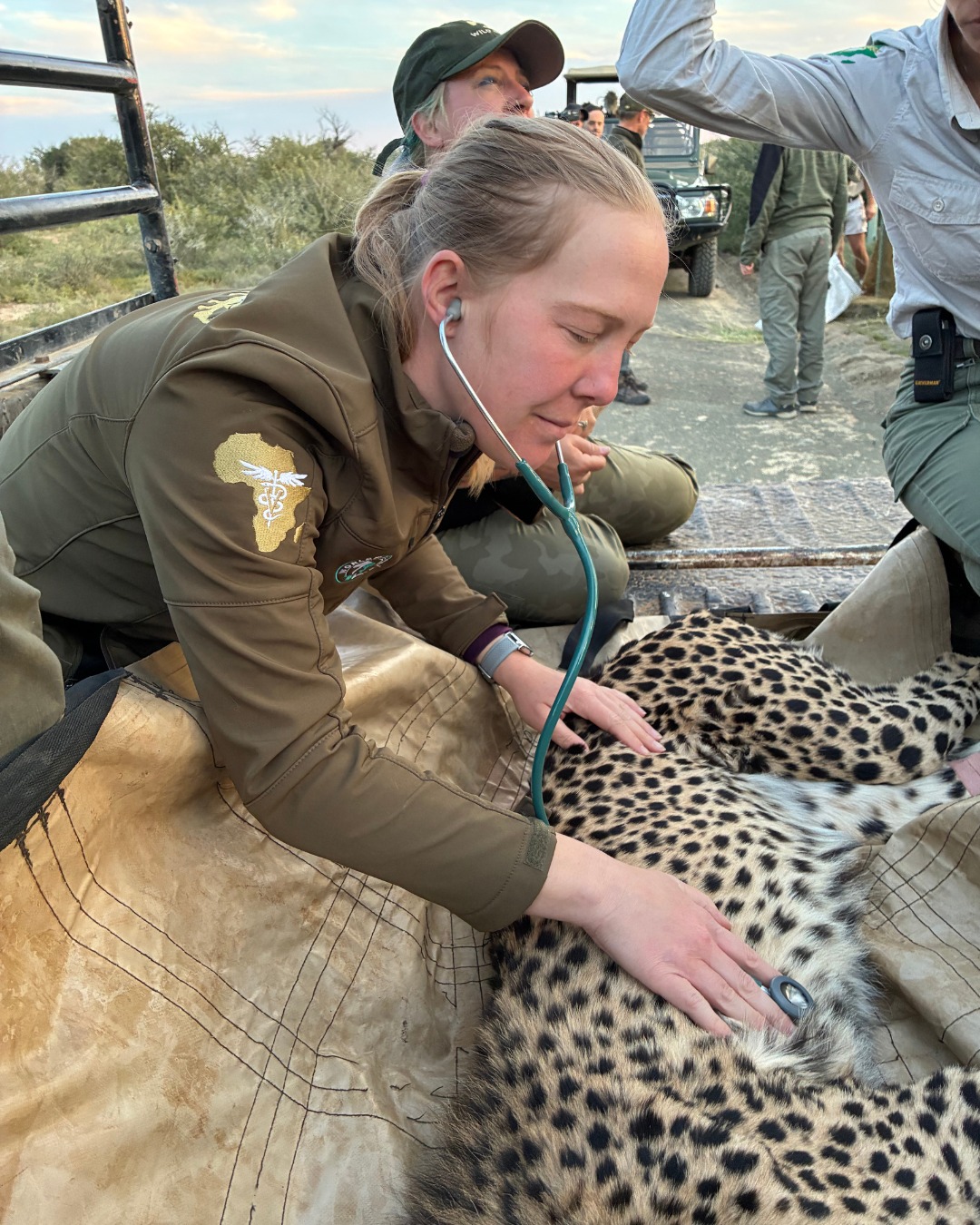 Linden's Inspiring Two-Week Veterinary Program This Summer - Oakland ...