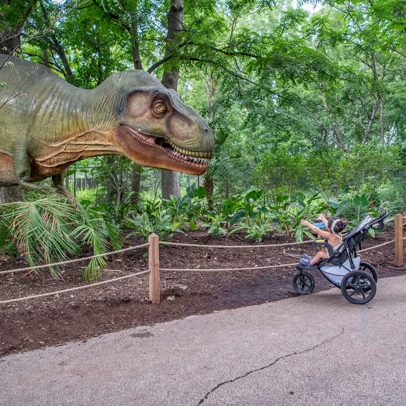 Exploring Dinosaurs: Unearth The Prehistoric Past - Milwaukee Zoo Zoo Guide