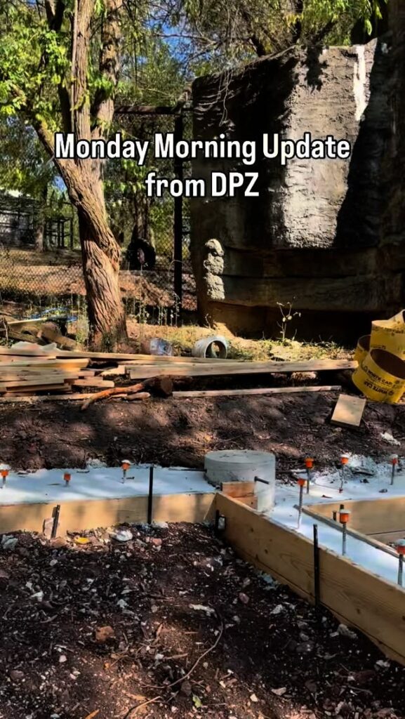 Behind The Scenes Of Bear Boardwalk Construction - Zoos - USA - Missouri - Dickerson Park Zoo ...