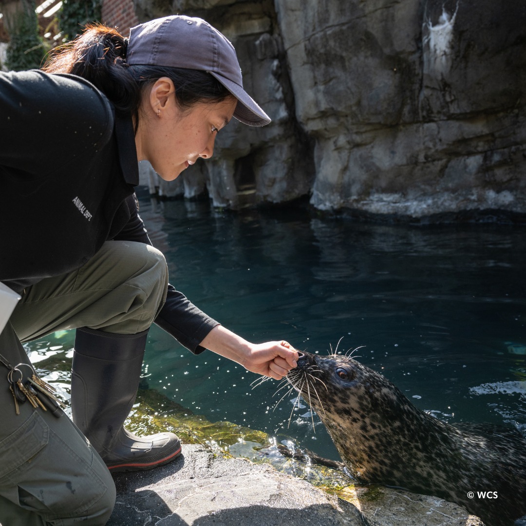 Join Us For The Jr. Keeper Program For K-2nd Graders! - Central Park ...