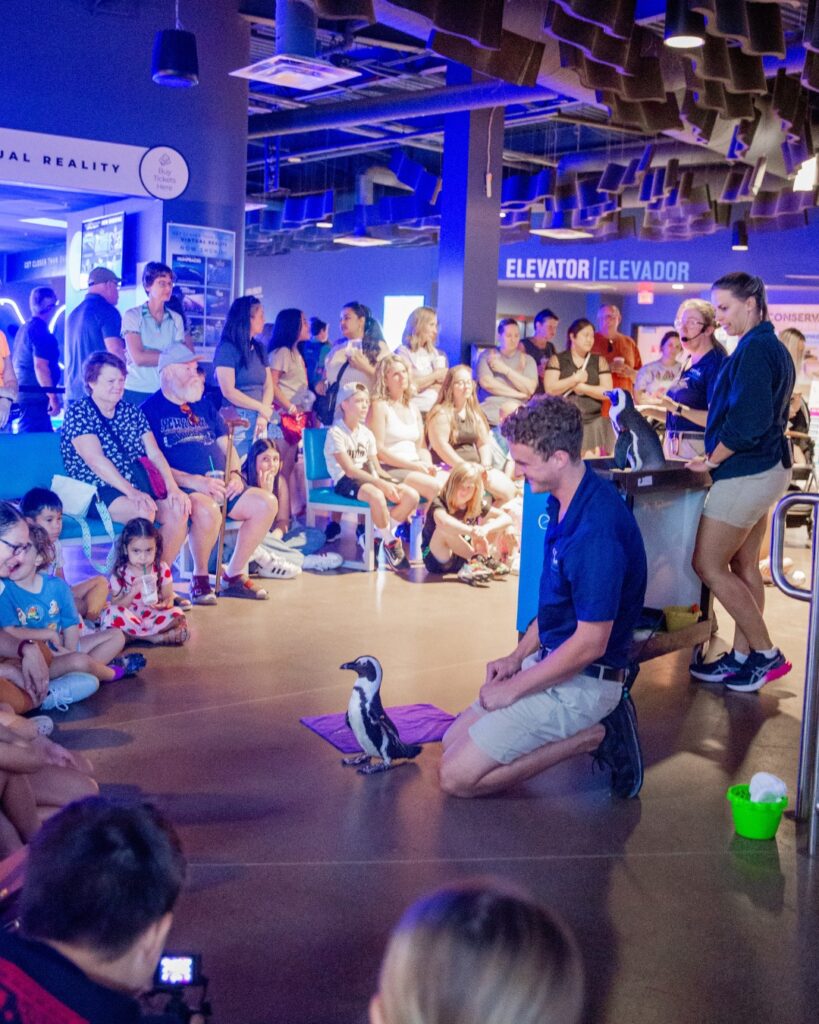 Definitive Guide To OdySea Aquarium Facts, List Of Animals, Reviews And Pictures On Zoo-guide.com