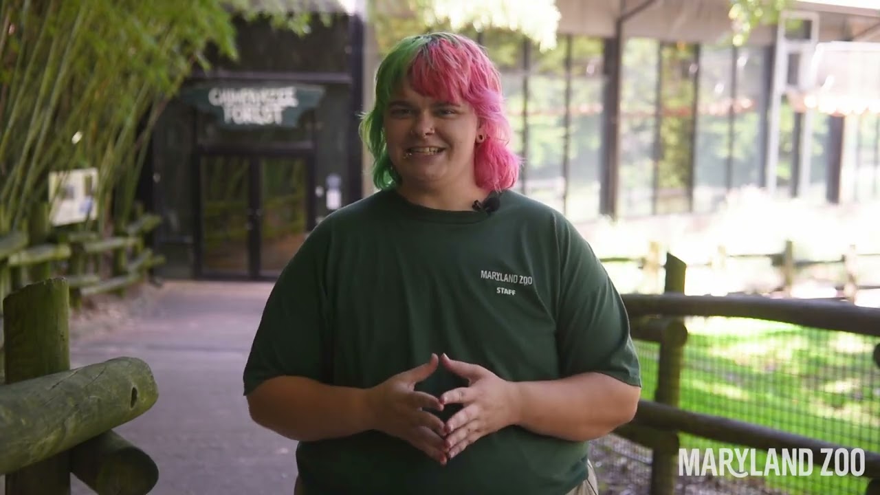 Wild Truths: Episode 2 - Venomous Or Poisonous Explained - Maryland Zoo ...