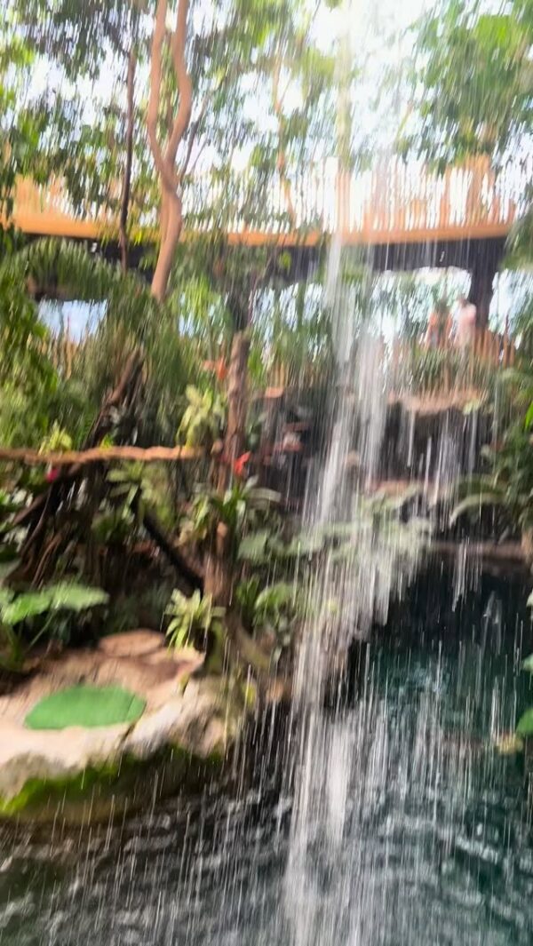 A Saturday Experience At The Dallas World Aquarium - Zoos - USA - Texas ...