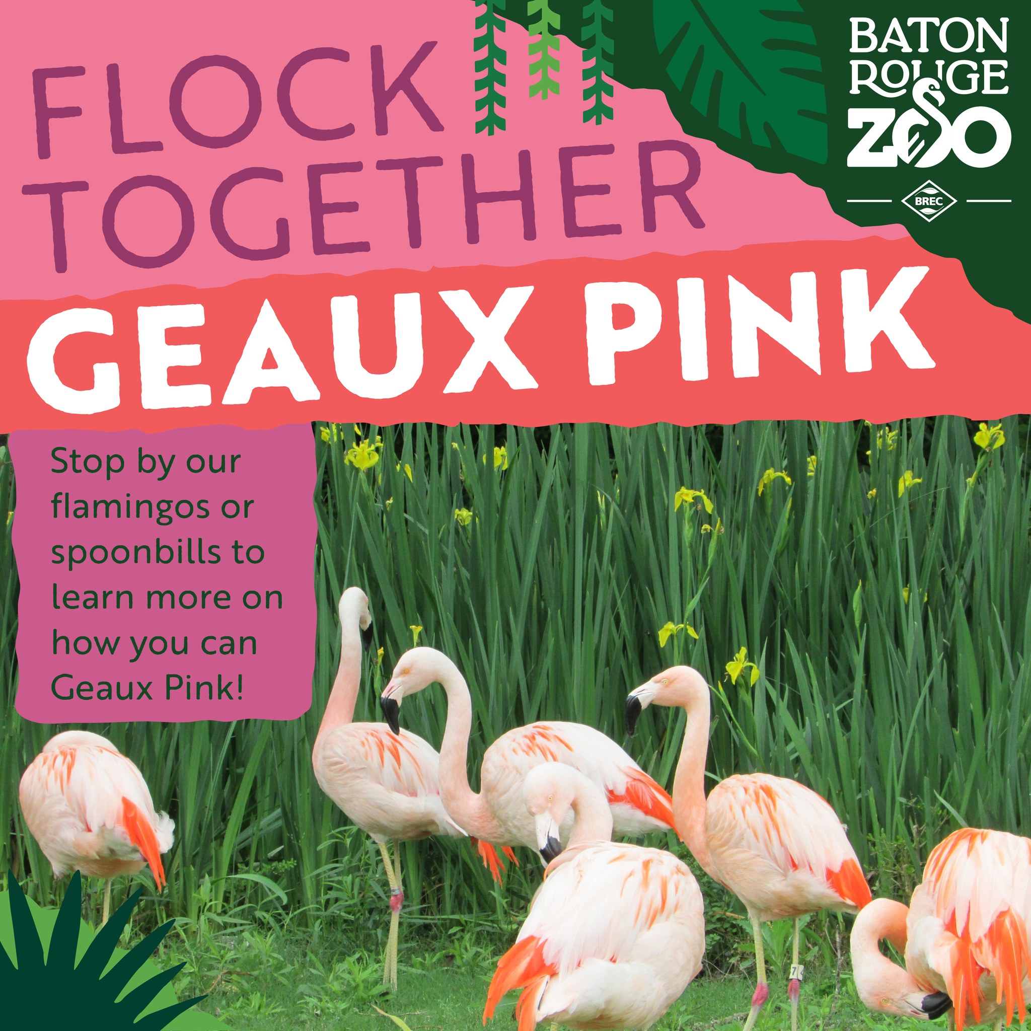 Visit BREC’s Baton Rouge Zoo This Weekend, October 10–12 - Baton Rouge ...